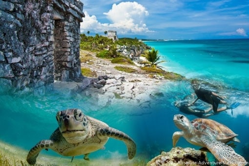 Tulum Temples Reef Snorkeling DAY TOUR - Mexico