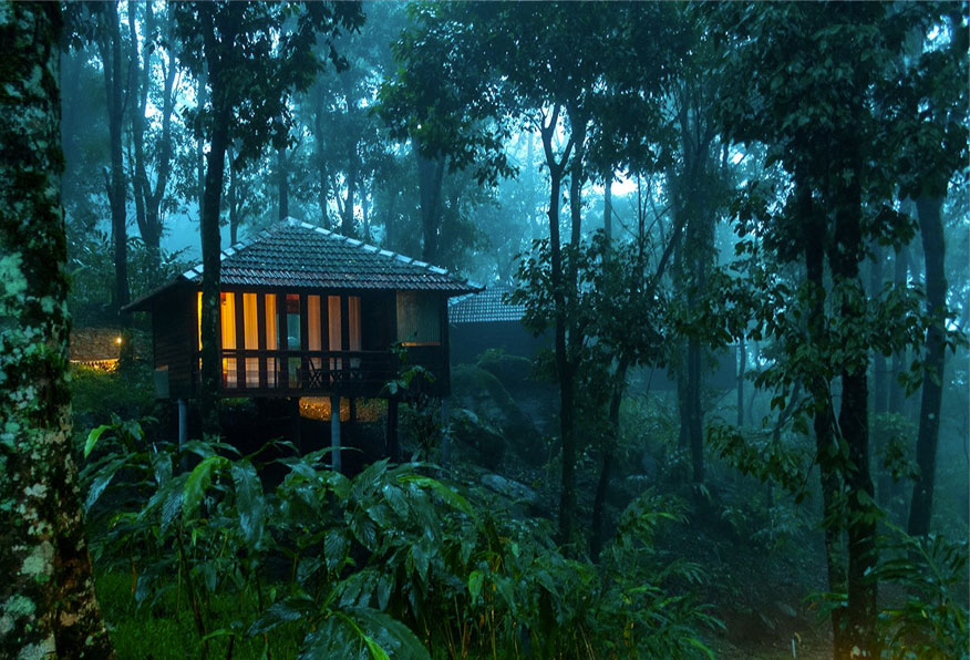 Rain Forest Nature Experience, Wayanad